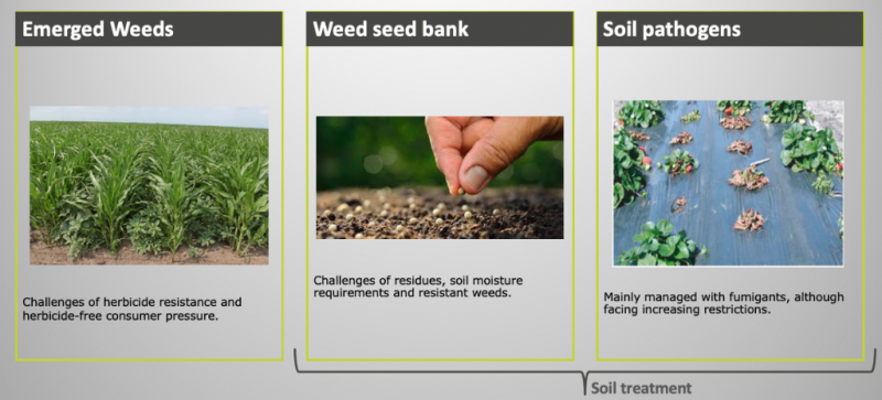 Ag-tech trial turns up the heat on weeds – Soil Wealth ICP